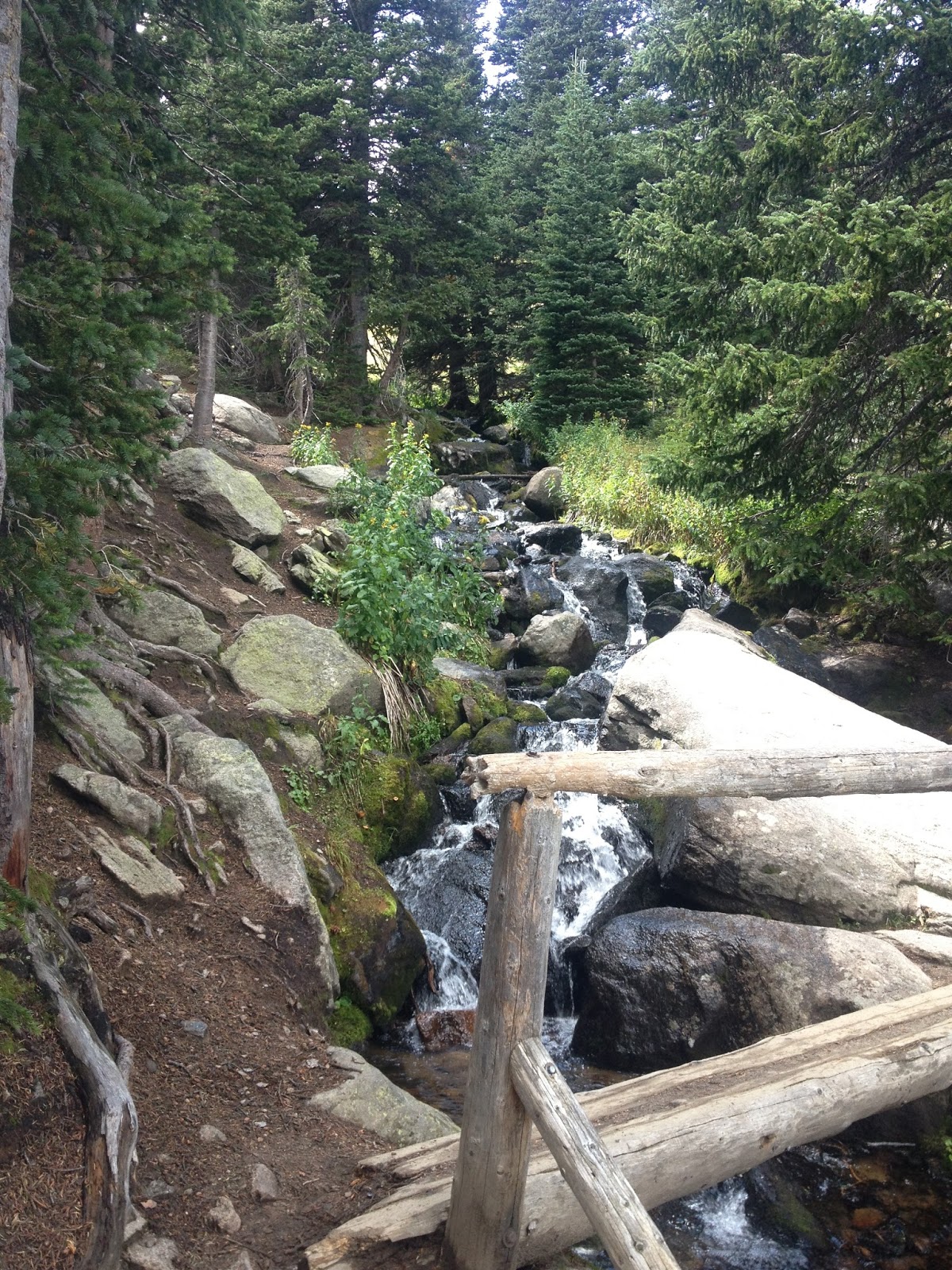 50 Hikes for 2012-13: Hike #36 - Long's Peak, Keyhole Route - Rocky ...