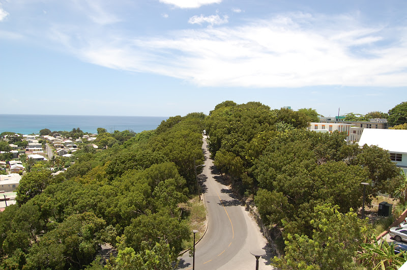 Rich Harrill's Barbados: Bridgetown from Cave Hill