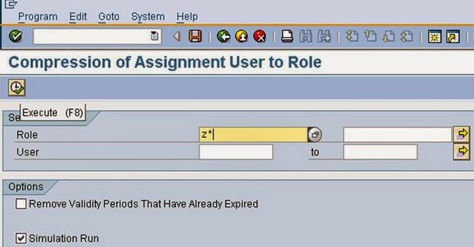 TIME 4 SAP SECURITY : How to Remove duplicate roles