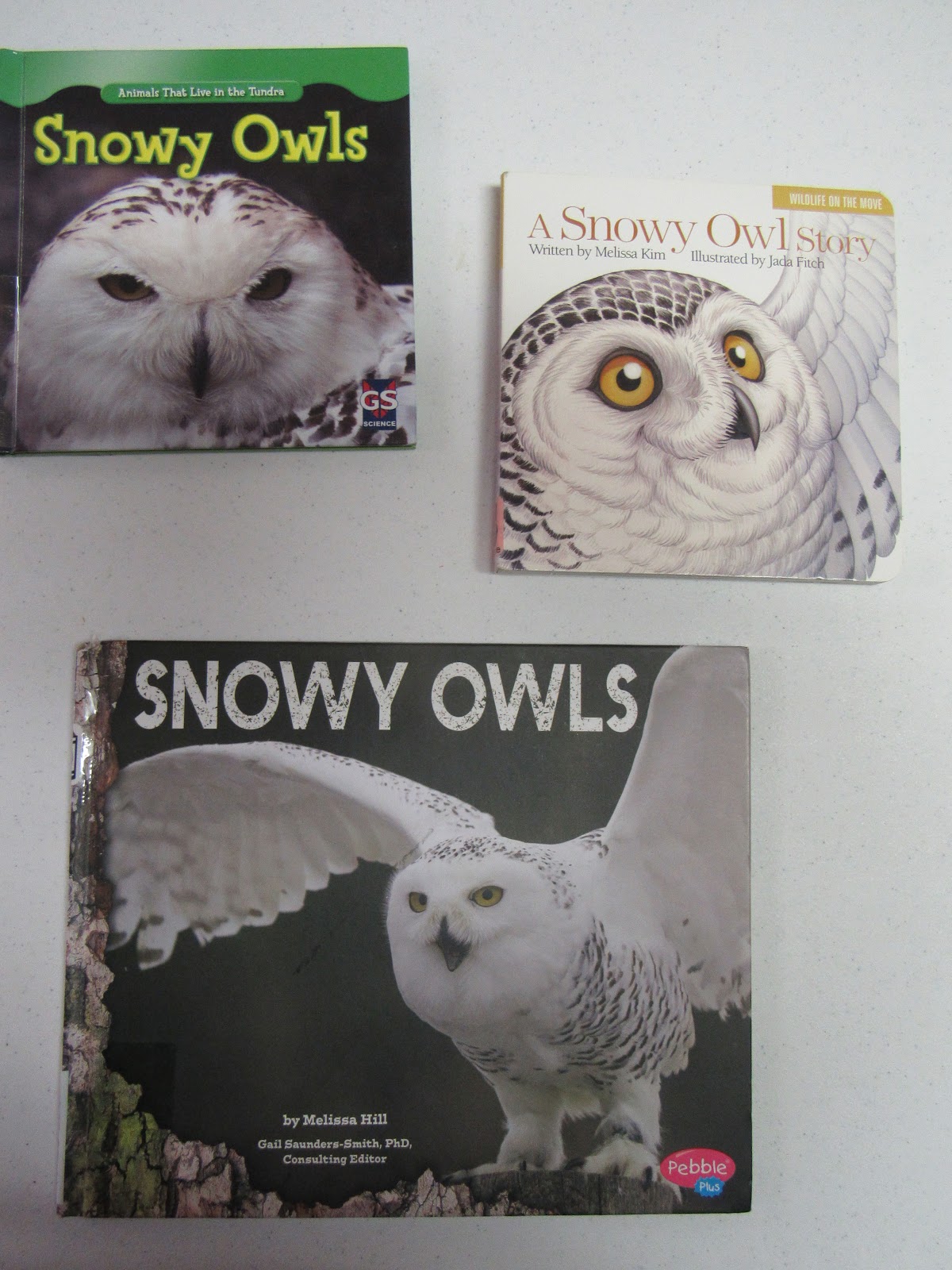 Tots and Me... Growing Up Together: Arctic Animal Fun: Snowy Owl Lesson