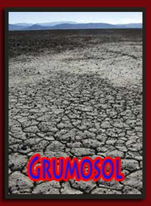 Jenis-Jenis Tanah, Persebaran dan Pemanfaatannya - Azanul Ahyan