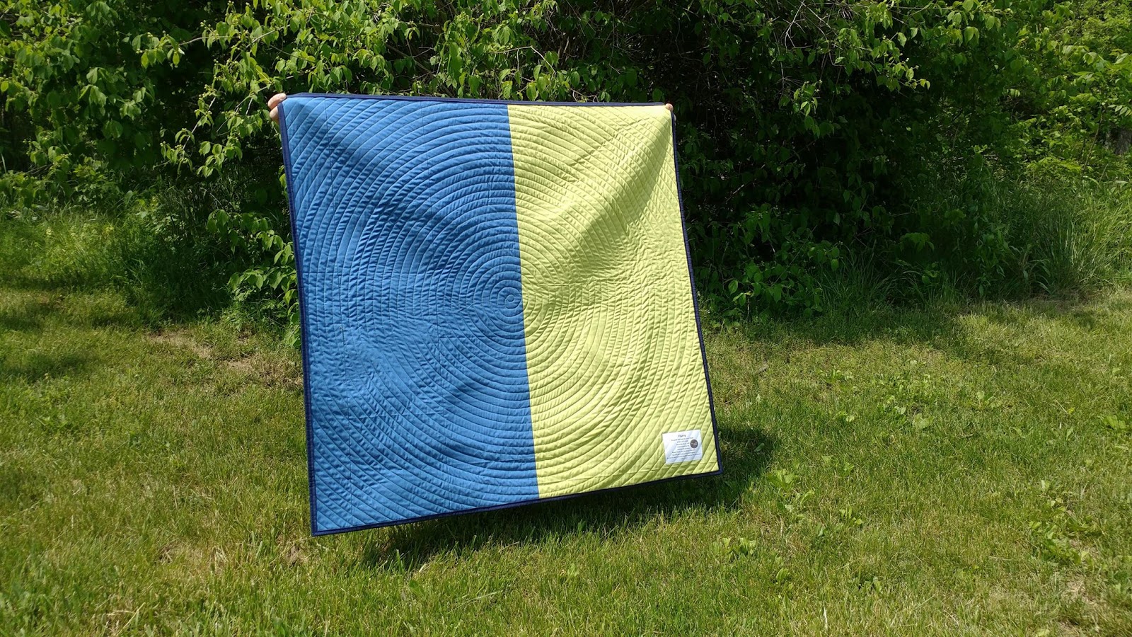 Slice of Pi Quilts: A Surprise for Mister Domestic