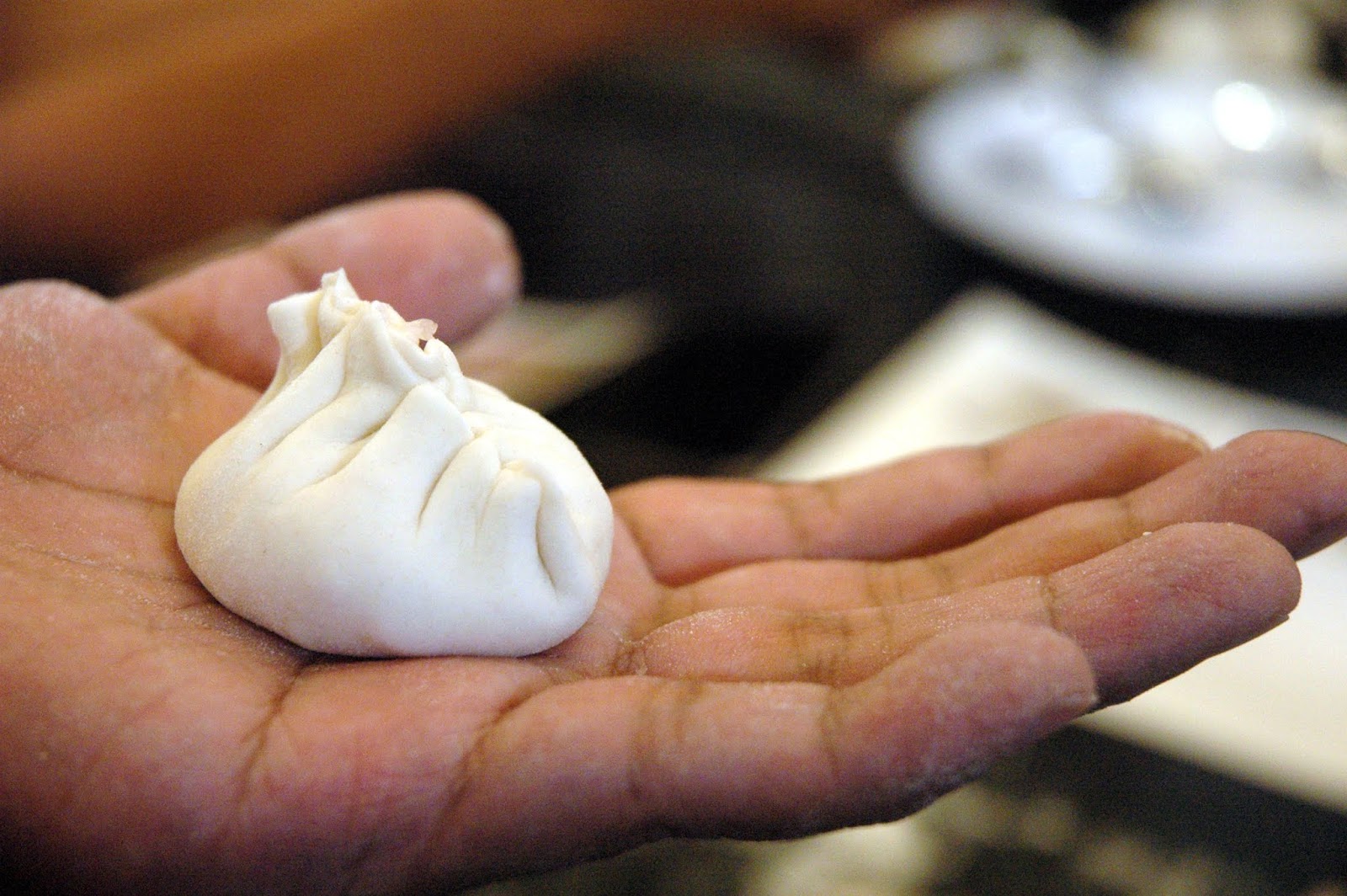 DUDE FOR FOOD: Let's Roll: The Dim Sum Making Class at Canton Road