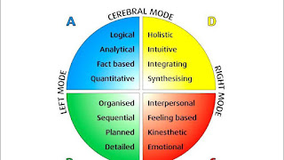 Herrmann Brain Dominance Instrument