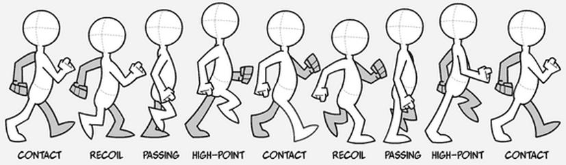 The HiMAP Animation Program: Lesson 3: A Basic Walk Cycle