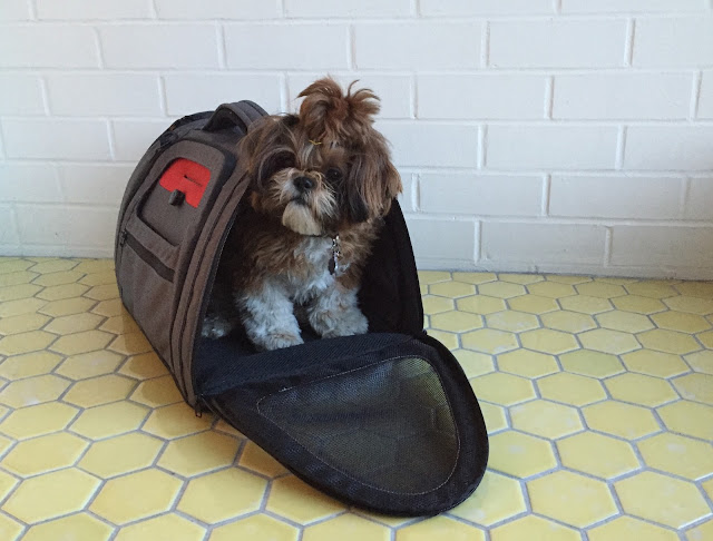 To Dog With Love: Hatch Carrier Lets You Safely Comfort Your Pet