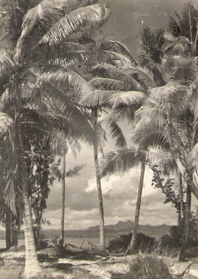 HMS Nabaron | MONAB 4 | MSR6 (1945)