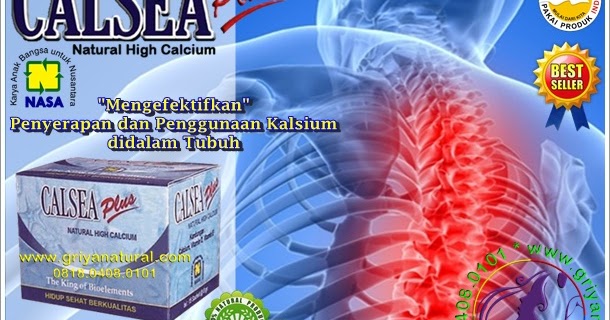 Calsea Plus- Vitamin Kalsium untuk Tulang Keropos - Jual Vitamin ...