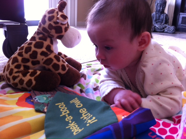 The Adventures of Nova: Novosaurus Rex