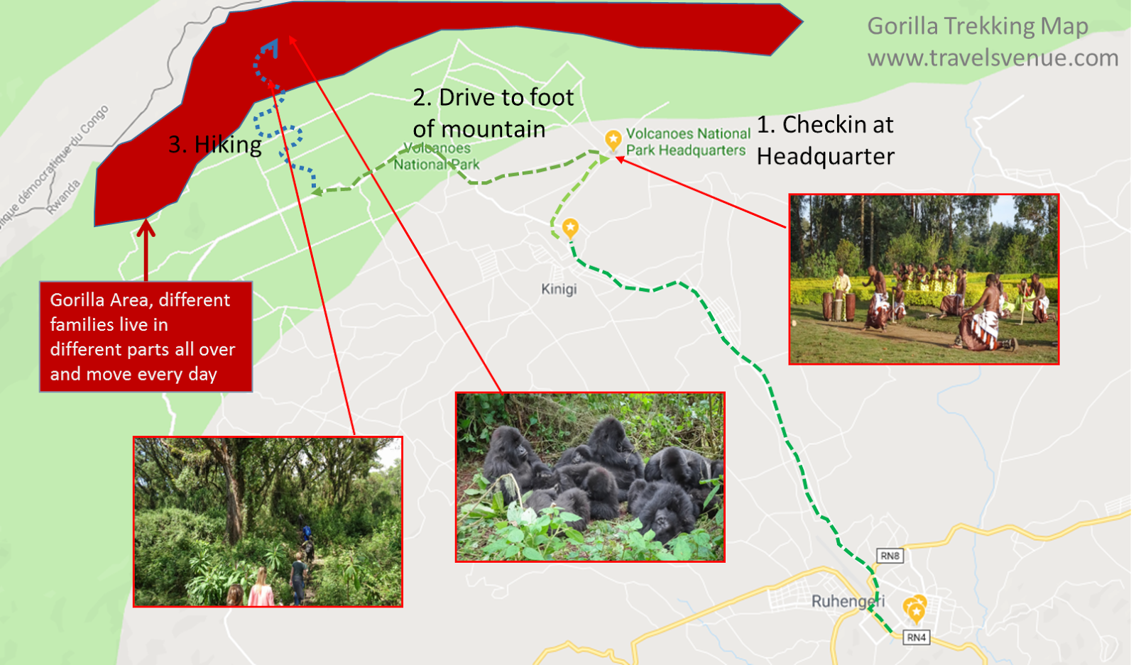 Rwanda - Visiting Gorillas after the Genocide - Sven's Travel Venues