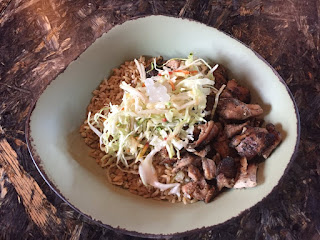 When Tara Met Blog: Tips & Secrets to Visit Pandora at Disney's Animal ...