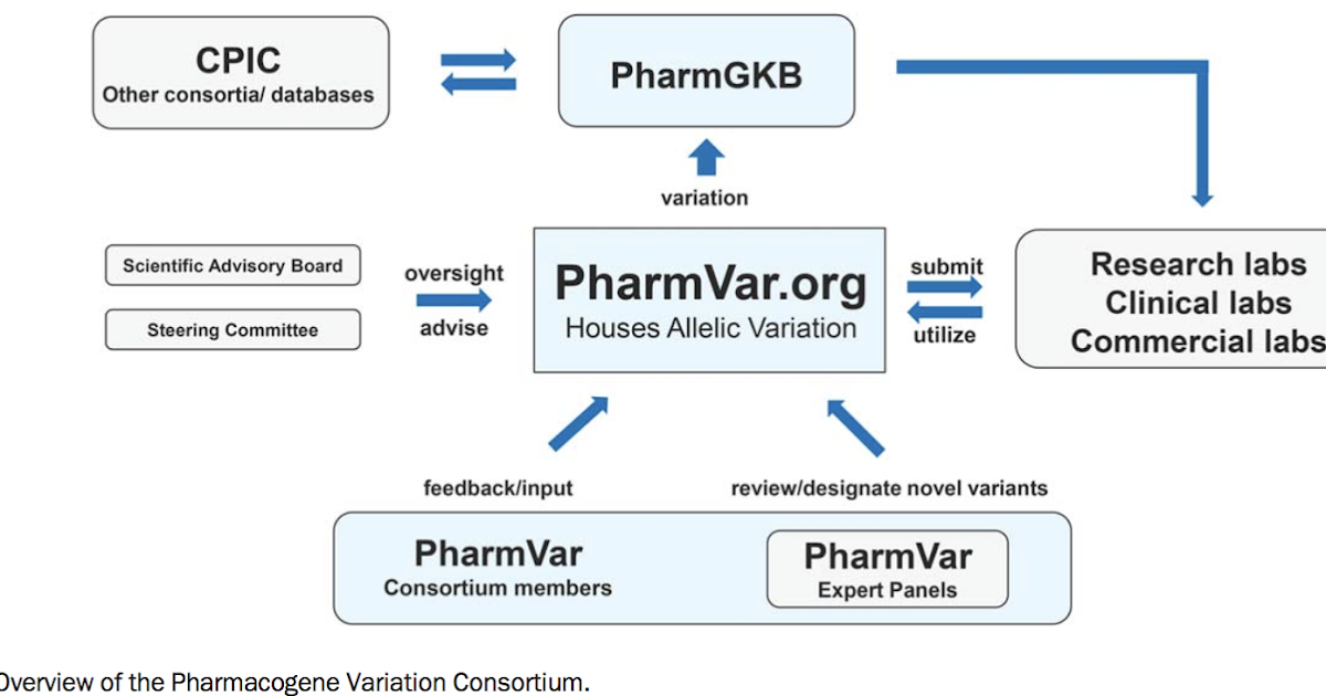 PharmGKB Blog: PharmVar Published in CPT