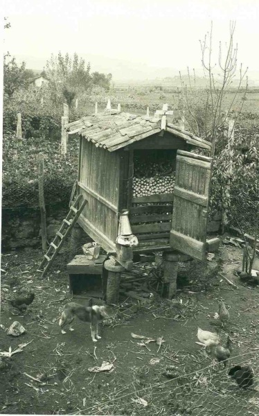 Los Grandes Fotografos: Ruth Matilda Anderson (1893-1983)