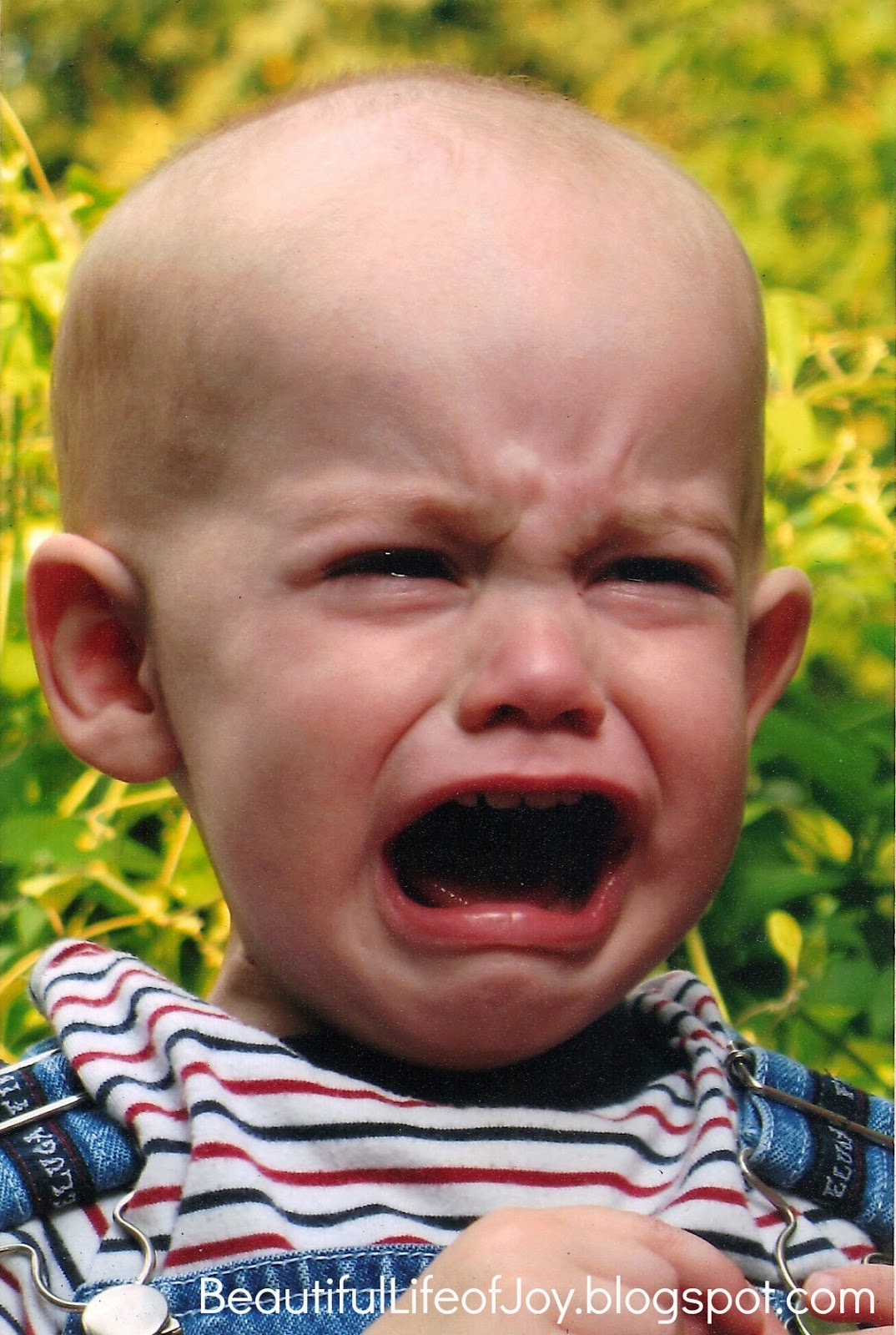 Beautiful Life of Joy: December 2013