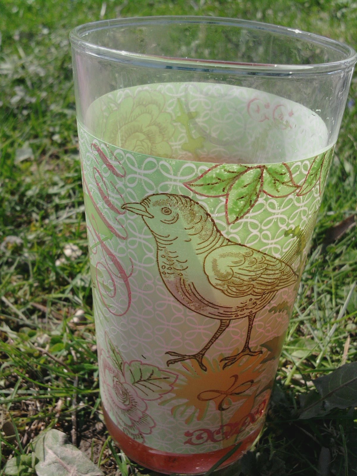 Bad Housekeeping Dollar Store Find Bird Glasses