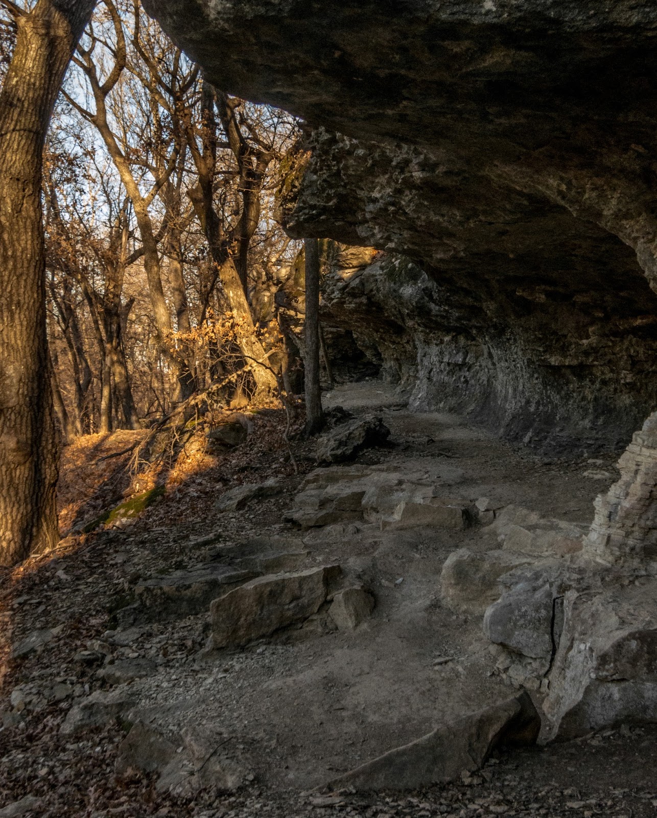 BikeRunBeer: Redbud Valley Nature Preserve