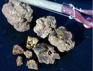 The Agatelady: Adventures and Events: Tennessee Paint Rocks