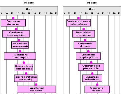 CRESCIMENTO PRÉ-PUBERAL, PUBERAL INFANTO-JUVENIL; ENDOCRINOLOGIA; DR. J ...