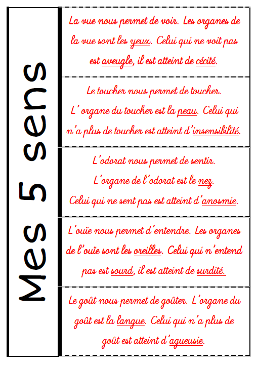 A l'encre violette: LES CINQ SENS