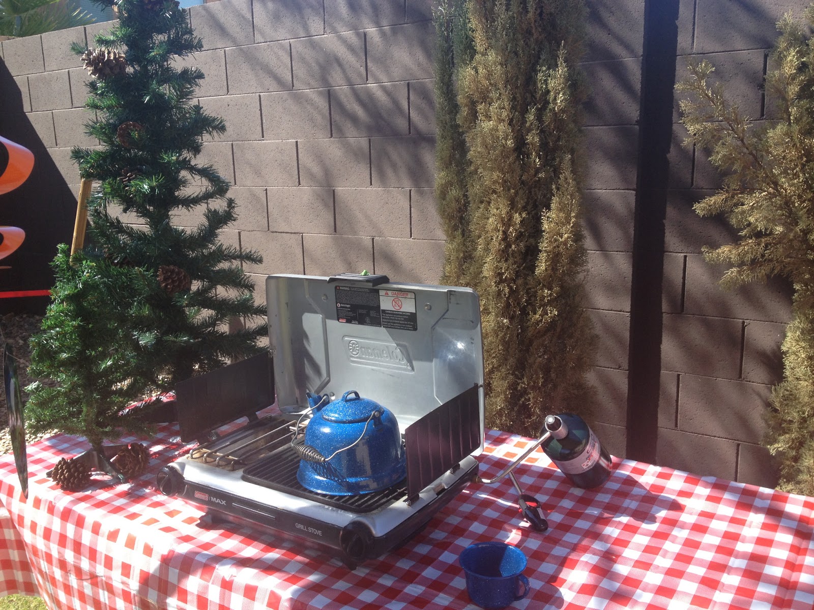 The Busy Broad: Camping Themed Birthday Party Decorations