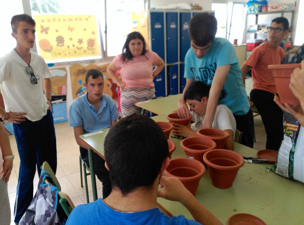 Mi Colegio Civitas Taller Jardinería Tva 2017