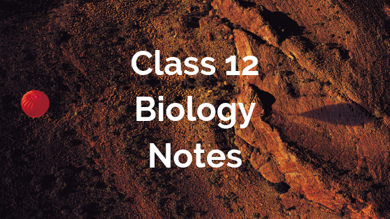Ecosystem Class 12 Notes