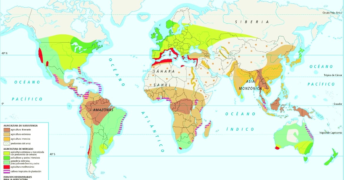 LA CLASE DE GEOGRAFÍA DE 3º: EL SECTOR PRIMARIO EN EL MUNDO.