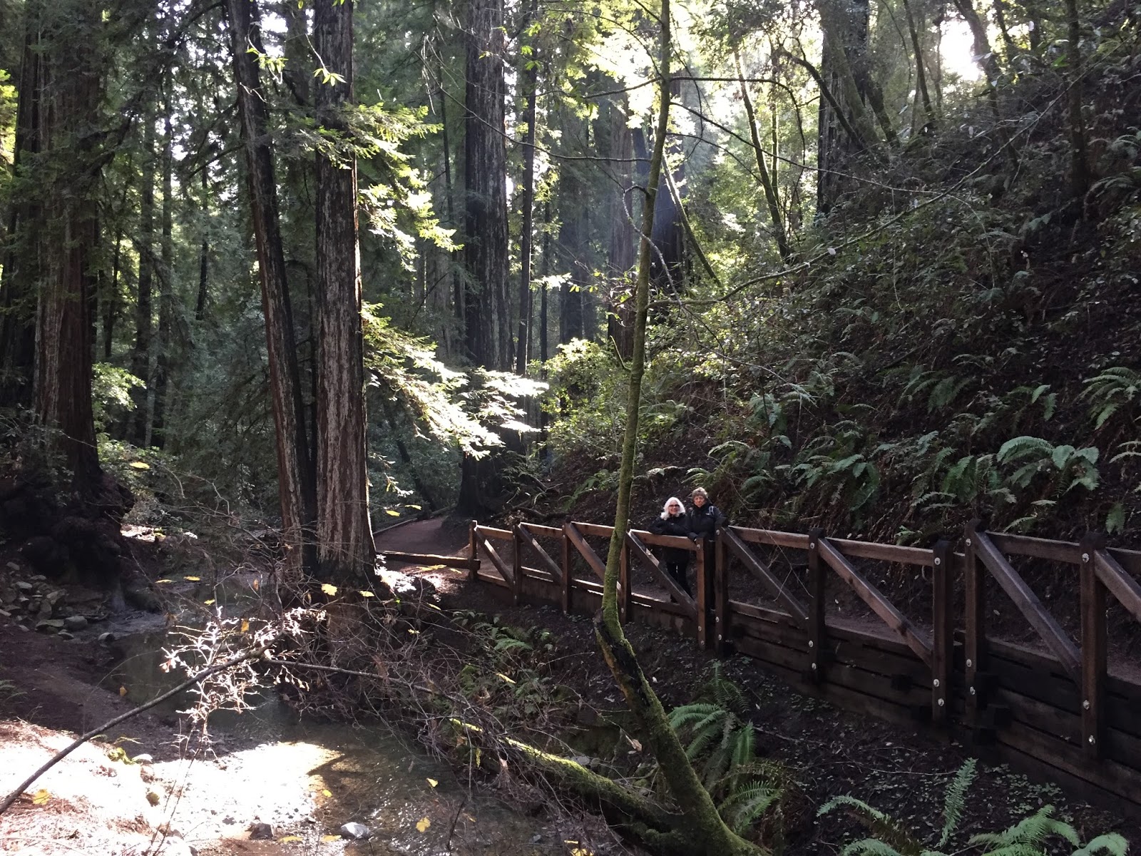 Linda Ballou Talking to You: Rancho Del Oso – Where Redwoods Meet the Sea