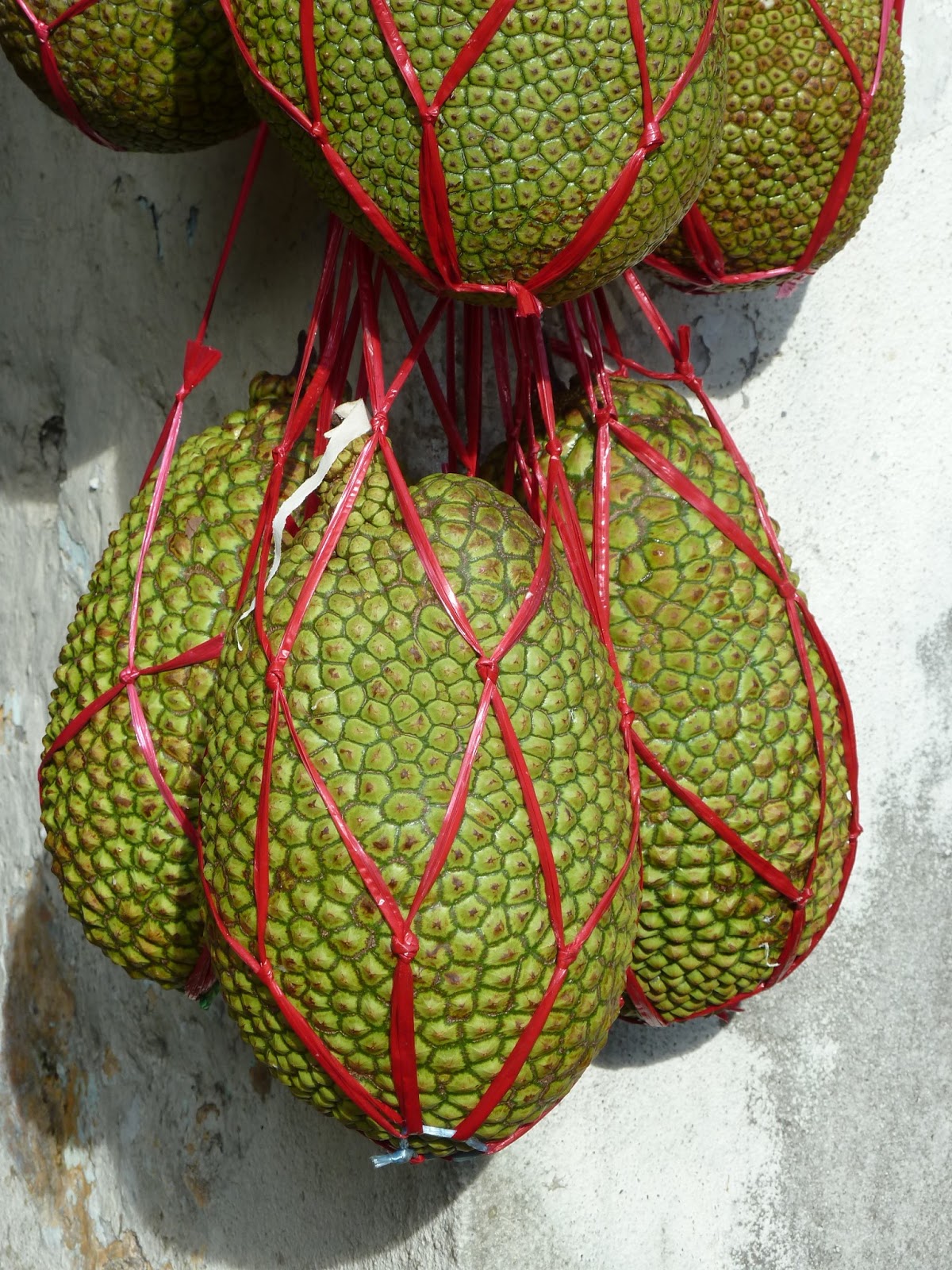 A Thousand Reasons: Sweet Fruits, Rough Skins. Which Do I Pick?