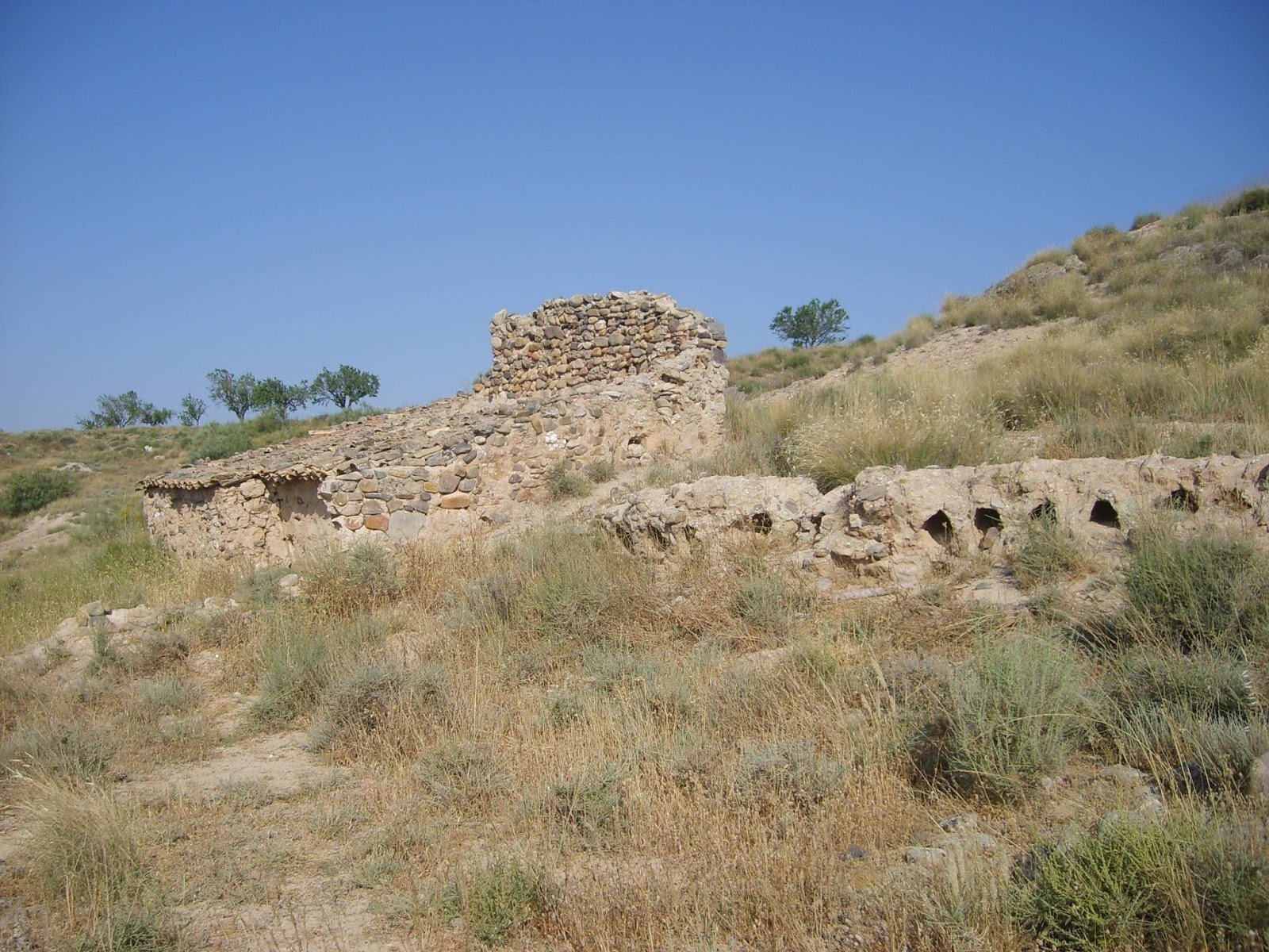 Centro de Estudios Borjanos: El abejar de La Cantera