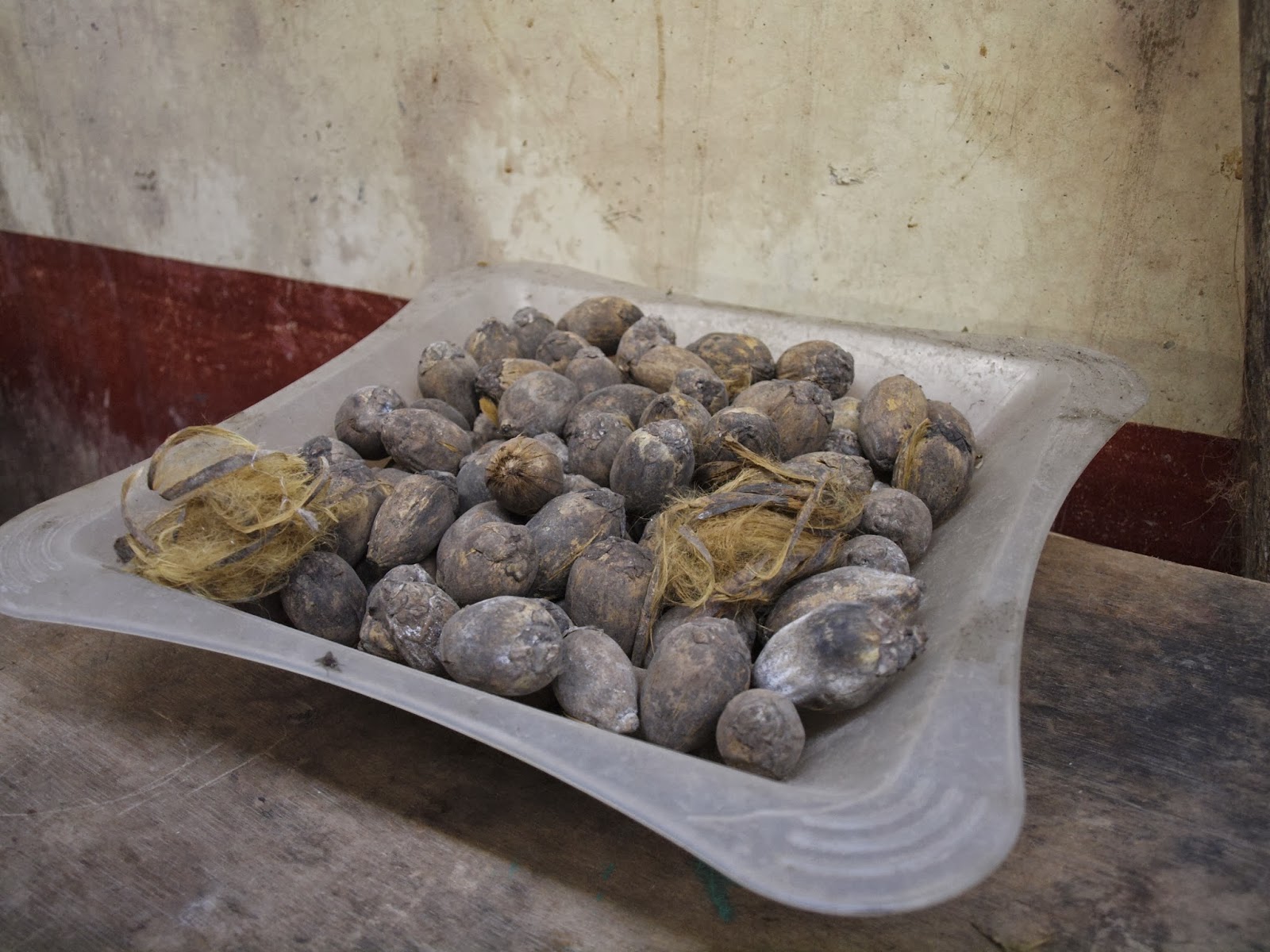 Kumukunchi Adventures: Pariyan at Datu Piang