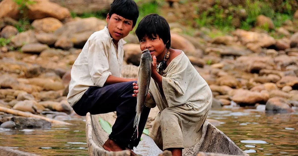 What we can learn from the Bolivian Tsimané People | HR News