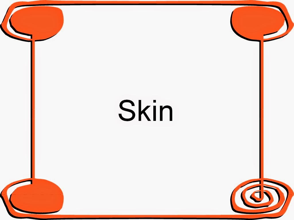 Student Survive 2 Thrive: Integumentary System Common Word Parts Flash ...