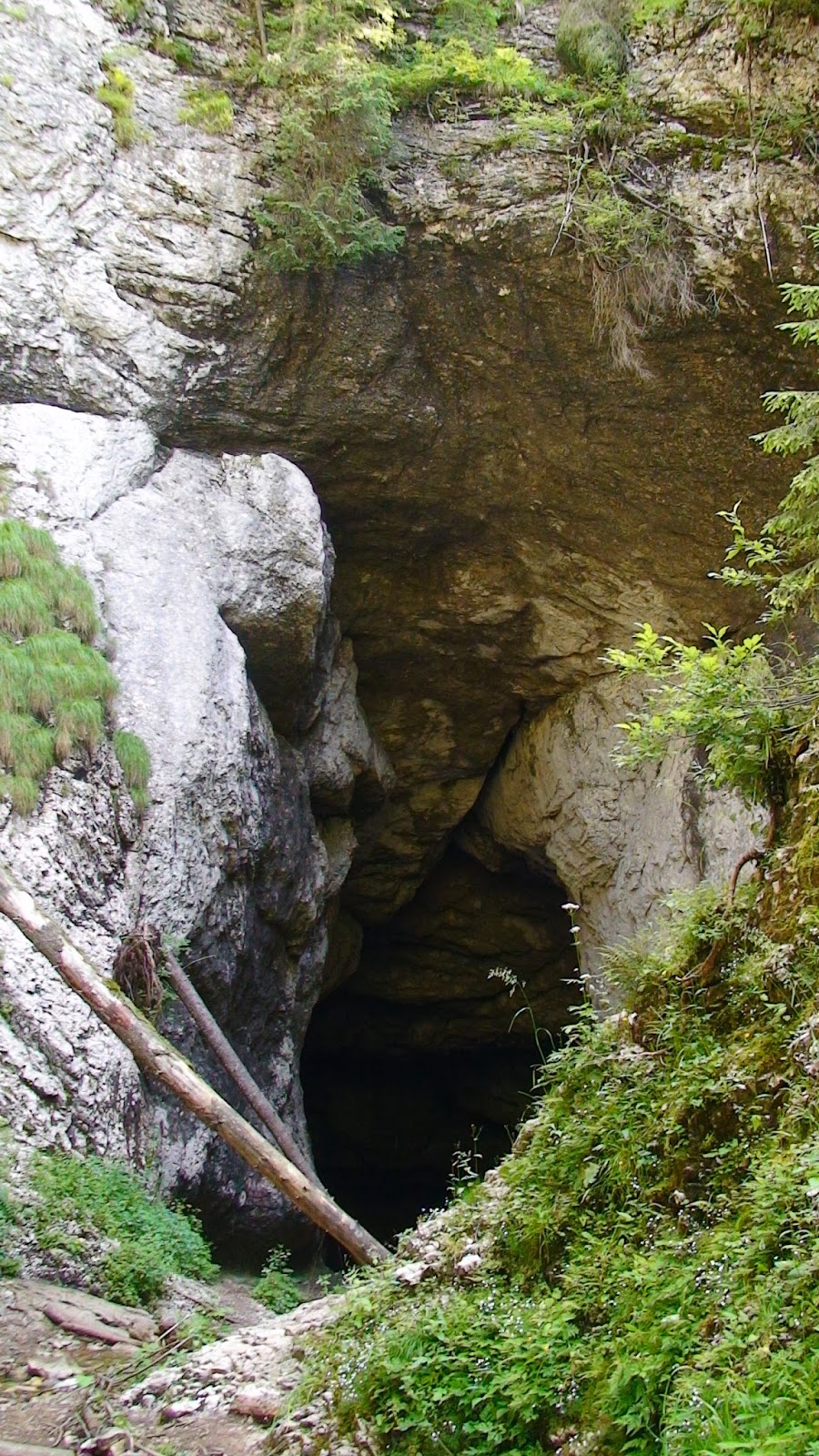 TUDOR PHOTO BLOG: Padis-Zona Turistica,Padis-Touristic Zone,Muntii ...