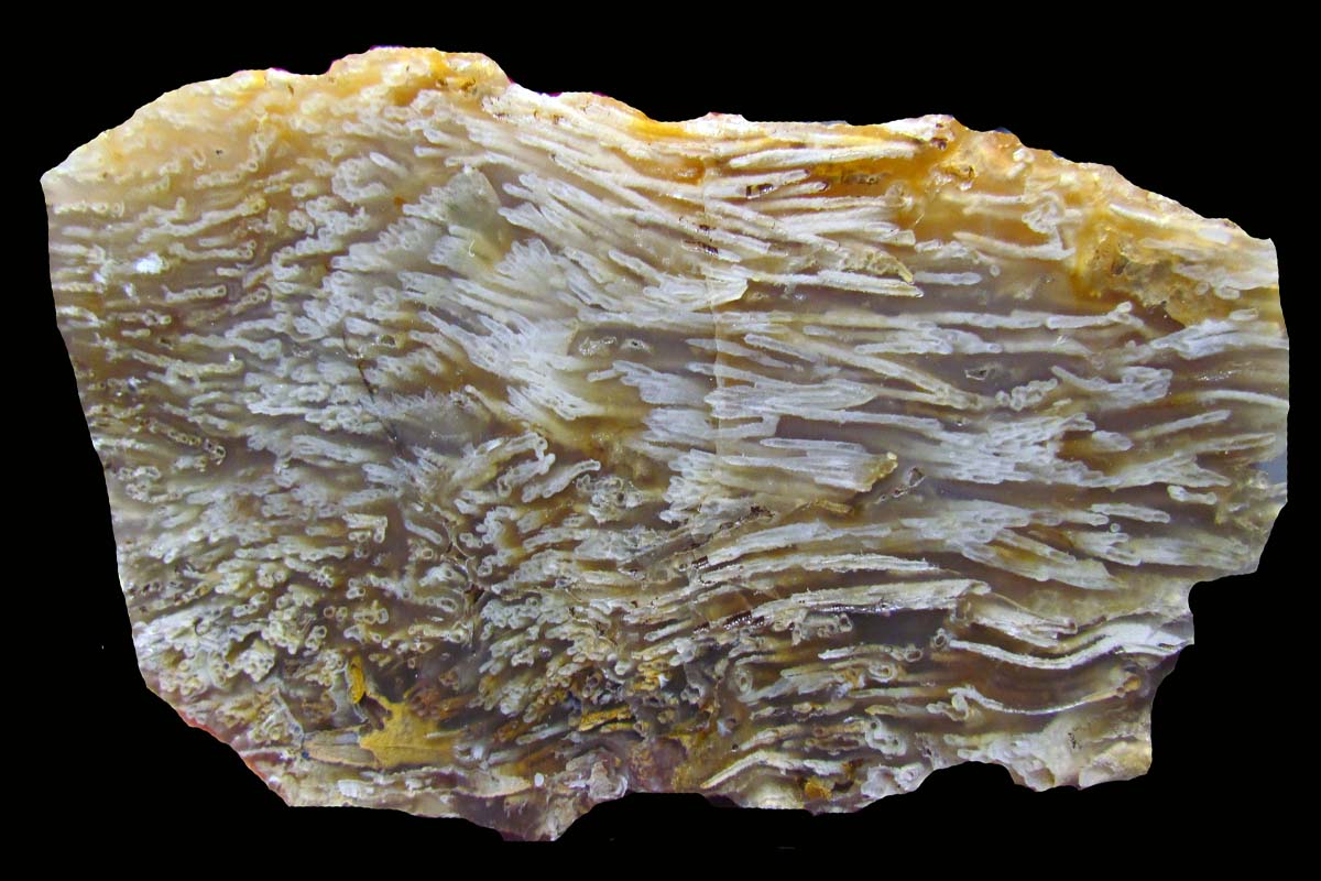 The Agatelady: Adventures and Events: Wisconsin Agate Collections -- Post 2