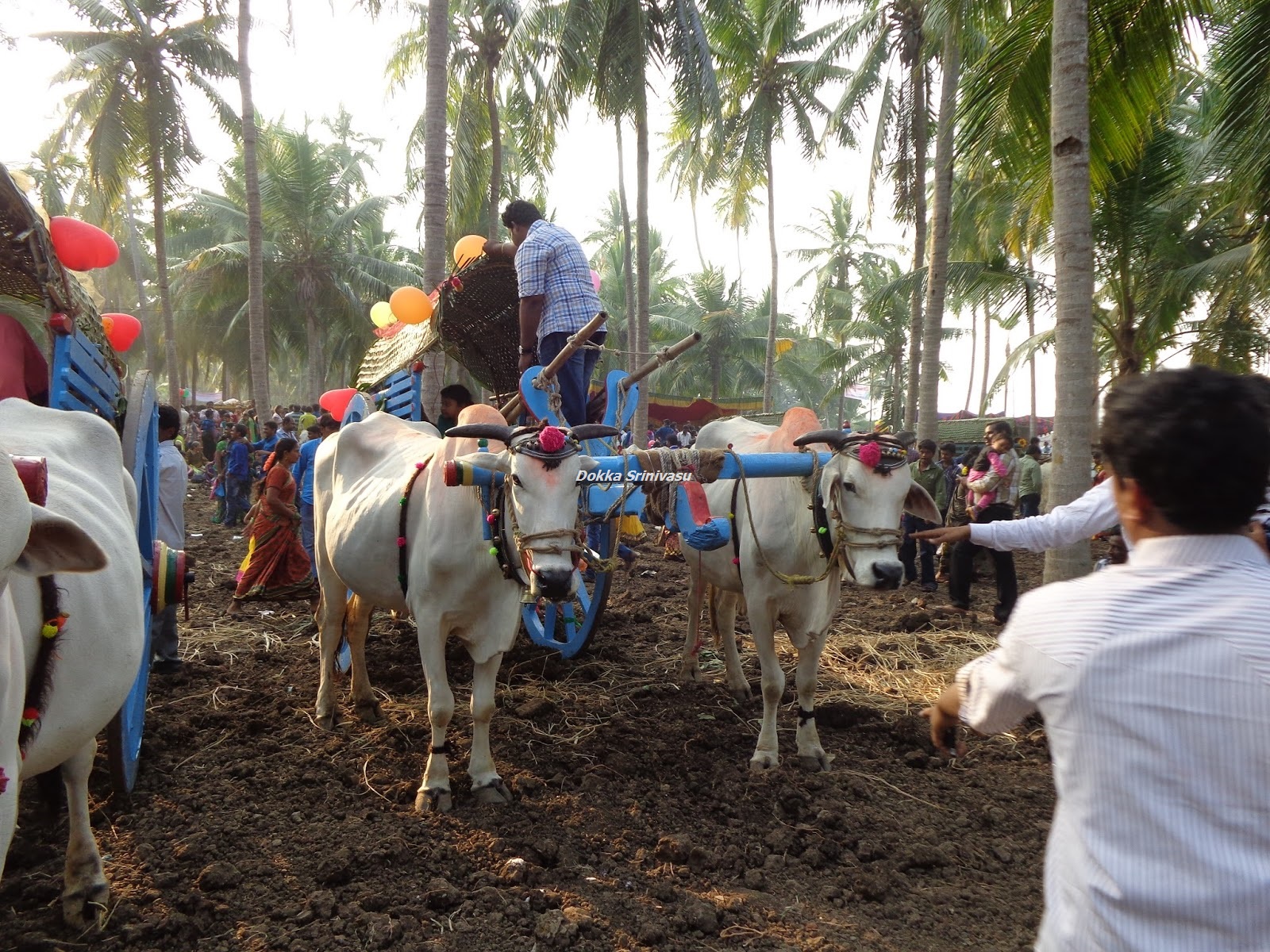 Heritage of India: Prabhala Teertham (Prabhala Utsavam or Prabhala ...