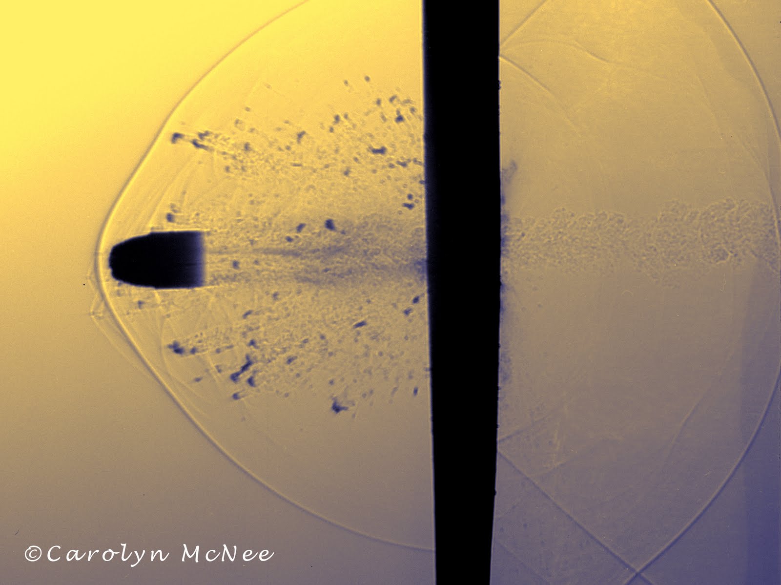 Life Journeys: Bullets