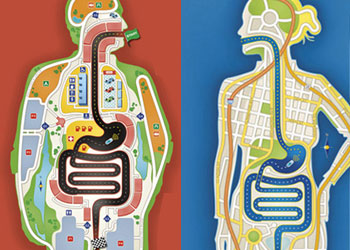 Dra.Busmail: UNA CAPSULA REGISTRA EN VIDEO EL MECANISMO DE LA DIGESTION