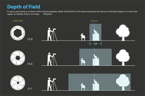 Pengertian Depth of Field pada Fotografi - Seputar Tehnology