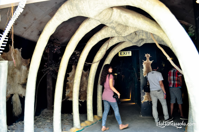 Elal Lasola Travel & Photography: Subic | Zoobic Safari