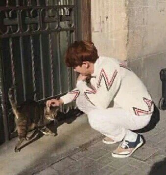 Chanyeol Ferret Club