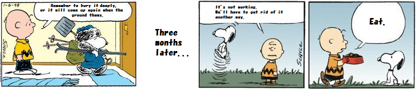 this is how she fight start: Flagrant Copyright Violations