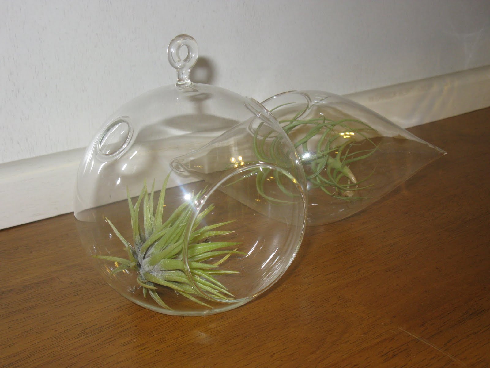 What You Make it...: "things inside of things" + DIY Project