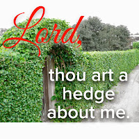 The Brick House...in pursuit of stronger lives.: Praying the Hedge of ...