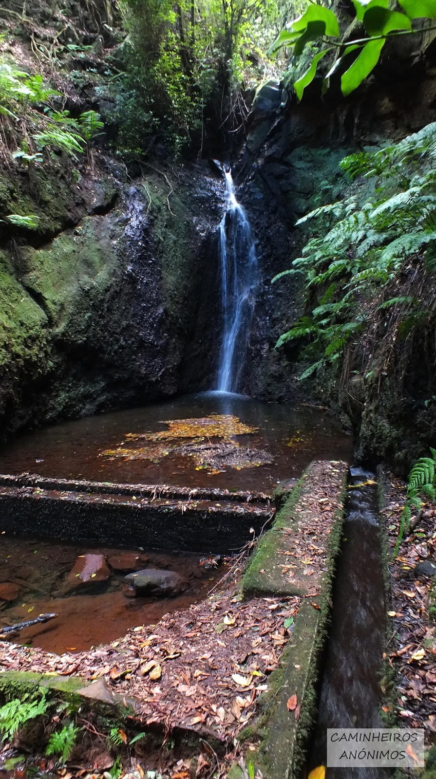 Caminheiros Anónimos Levadas da Madeira : Levada Grande (Achadas da Cruz)