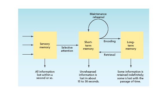 MEMORY - World of Minds