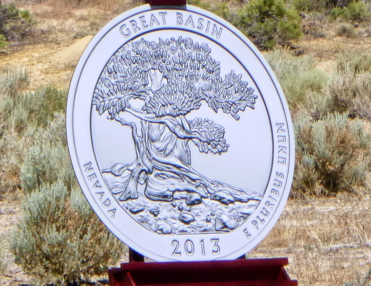 Desert Survivor: I Found It--the Bristlecone Quarter Tree