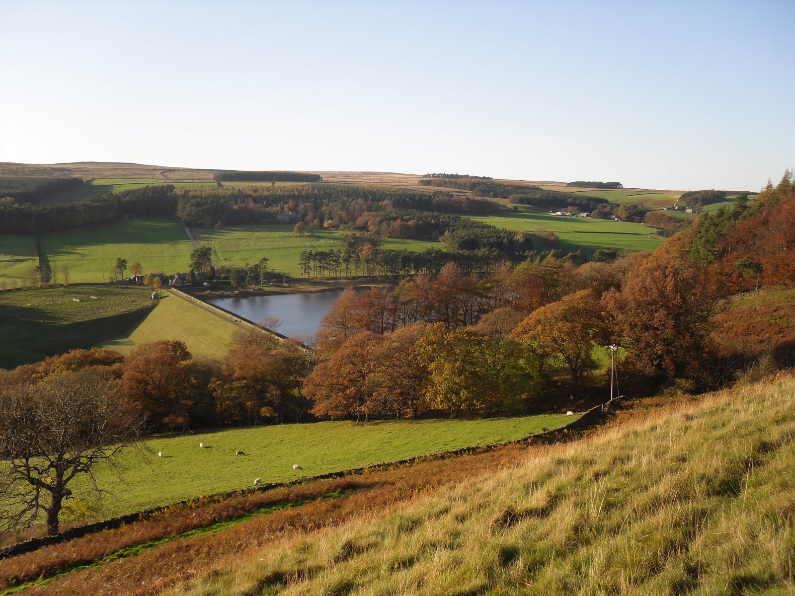 Rambling Nana: Wolsingham, Tunstall Reservoir Circular