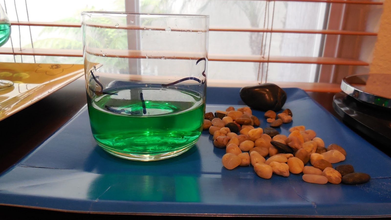 Enchanted Schoolroom: Water Level Experiment Inspired by Literature!