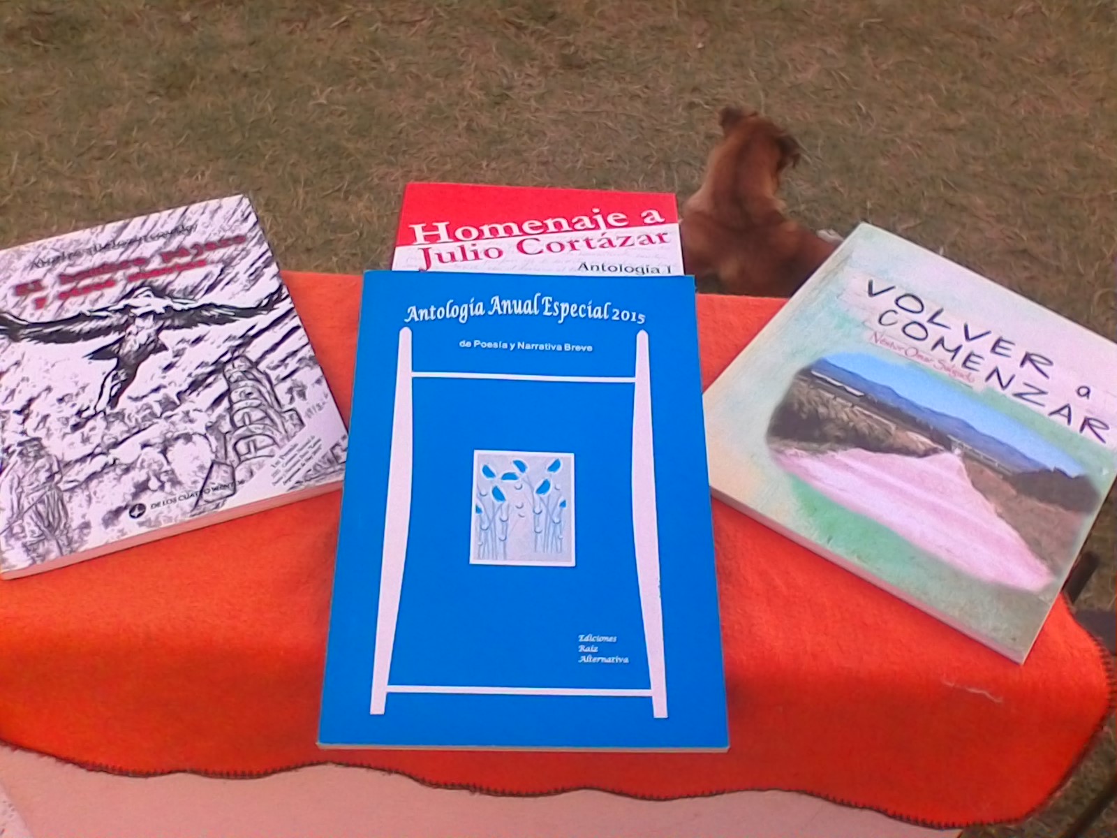 Premio Nacional Letras y Poetas: Se confirmo el segundo Premio de ...